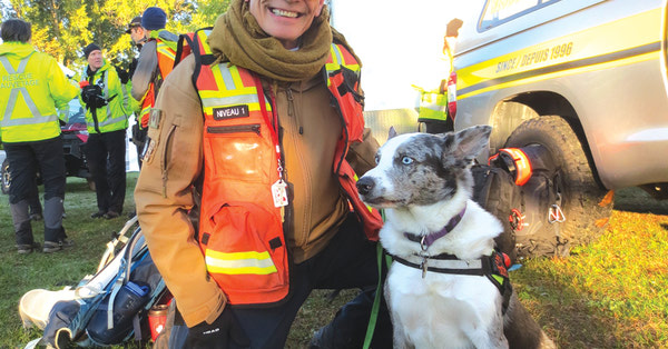 Emergency response simulation